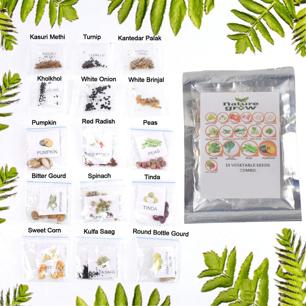 15 Vegetable Seed Varieties Combo for Home Garden – TrueMart Store